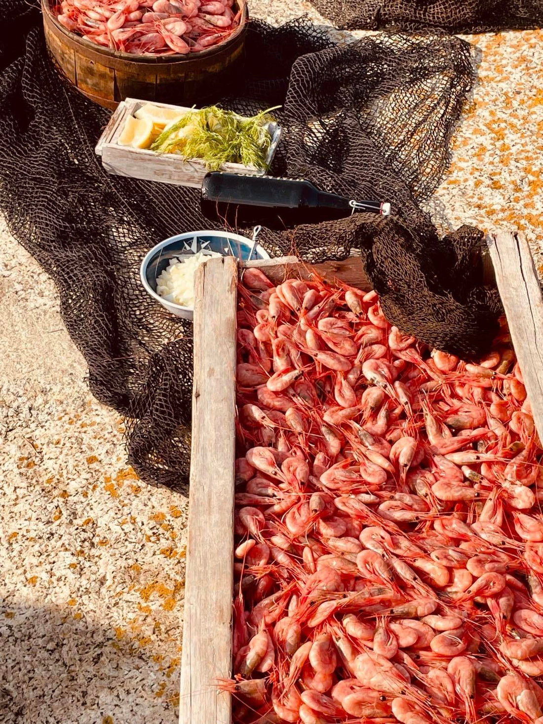 10 enkle oppskrifter på reker – Færder Sjømat